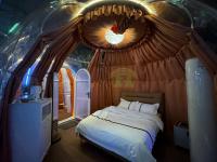 China Full House Monolithic Prefab Hotel Dome Tent Prefabricated Bubble Houses for Comfortable Home Living for sale