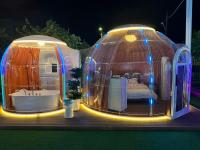 China Customized Luxurious PC Material Impact Resistant Bubble Houses Inflatable Dome Tent for Homestay Bedroom for sale