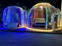 China Transparent Hotel Outside Globe Clear Bubble Dome Tent Igloo PC Dome Room for sale