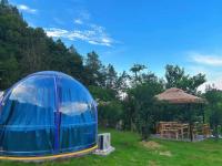 China Hot-Selling Fashionable Design PC Bubble House For Hotel Dome Tent Modular Prefab Dome house for sale