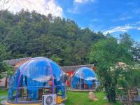 China Outdoor Camping Event Homes Prefab Dinner Glass Party Bubble House Dome Igloo Tents for sale