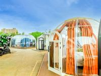 China Outdoor Bubble House  Polycarbonate Dome House Glamping For Four Season New Design Dome Tent for sale