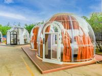 China Outdoor Bubble House  Polycarbonate Dome House Glamping For Four Season New Design Dome Tent for sale