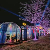 China Explore the Outdoors with PC Star Room Mobile Scenic Area Camping Spherical Tent Villa Outdoor Homestay Bubble House 3.8m for sale