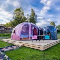 China Hotel PC Sheet Full 360 Degree Sound Insulation Flame Retardant Bubble House Dome Tent for Outdoor Events for sale