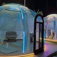China Hotel PC Sheet Full 360 Degree Sound Insulation Flame Retardant Bubble House Dome Tent for Outdoor Events for sale