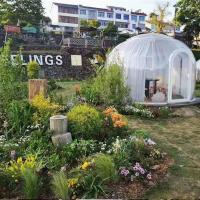 China 1 - 20mm Starry Sky Room Dining Bubble Tent Sleeping Panoramic Landscape Bubble Outdoor Tent for sale