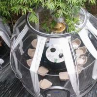 China Solid Sheet Homes Prefab Outdoor Bubble Tent Restaurant Night Scene Transparent Camping Tent for sale