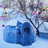 China Hotel Sun Room PC Mobile Outdoor Afternoon Tea Restaurant Star Room Spherical Transparent Bubble Room for sale