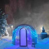 China Hotel Sun Room PC Mobile Outdoor Afternoon Tea Restaurant Star Room Spherical Transparent Bubble Room for sale