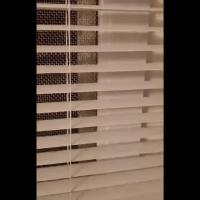China Modern Design Shutters for Waterproof and Antifouling Aluminum Louver Curtain in Toilet Kitchen Balcony Living Room for sale