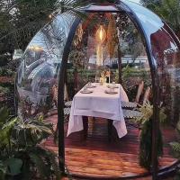 China Bubble House Outdoor Star Room Wedding Venue Transparent Barbecue Tent Room Homestay for sale