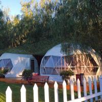 China Pvc Star Room Spherical Canopy Outdoor Campsite Camping Picnic Party Tent Outdoor Tent for sale