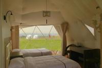 China Pvc Star Room Spherical Canopy Outdoor Campsite Camping Picnic Party Tent Outdoor Tent for sale
