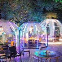 China Camping leisure luxury outdoor star room tourist camping scenic spot starry sky bubble house for sale