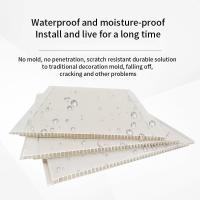 China PVC Fastener Strip Ceiling Plastic Lifting for Contemporary Design Style for sale