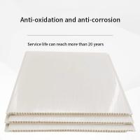 China PVC Fastener Strip Ceiling Plastic Lifting for Contemporary Design Style for sale