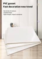 China PVC Fastener Strip Ceiling Plastic Lifting for Contemporary Design Style for sale
