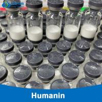 China Humanin Top Quality Powder Peptides Humanin CAS 330936-69-1 with High Quality for sale
