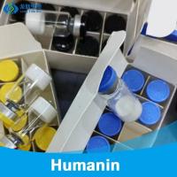 China High Purity Hot Sales Humanin Human Peptide Customized 330936-69-1 for sale