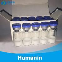 China Purity 99% Hot Sales Humanin 10mg Peptide Lyophilized Powder in Vials Customized for sale