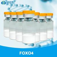 China Adult Suitable Fox04-Dri Foxo4 Peptide with High Purity 10mg for sale