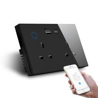 China Touch Panel  Smart Switch Socket Wifi Single Double Wall Socket 20W for sale