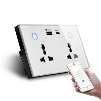 China Touch Panel  Smart Switch Socket Wifi Single Double Wall Socket 20W for sale