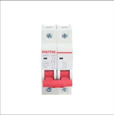 China Factory Outlet C16 C20 C45 C60 6A 20A 25A 32A 40A 50A 60A 63A 2 Pole MCB AC Miniature Circuit Breaker for sale