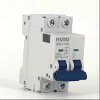 China Factory AC Disyuntor 16 20 25 32 50 63 Amp MCB Price 2 Pole 2P Electric Miniature Circuit Breaker for sale