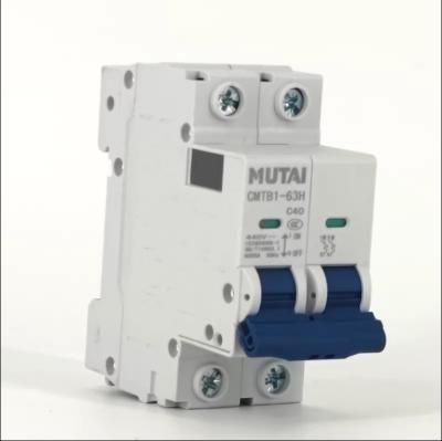 China Factory AC Disyuntor 16 20 25 32 50 63 Amp MCB Price 2 Pole 2P Electric Miniature Circuit Breaker for sale