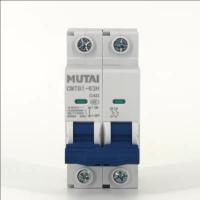 China Factory AC Disyuntor 16 20 25 32 50 63 Amp MCB Price 2 Pole 2P Electric Miniature Circuit Breaker for sale