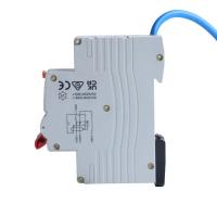 China 40A 50A  Miniature Circuit Breaker MCB  Type A 18mm Rcbo Circuit Breaker for sale