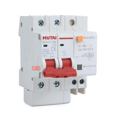 China Rcbo Miniature Circuit Breaker 16 AMP 32 Amp 2 Phase Circuit Breaker Earth Leakage for sale