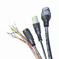 China Factory Manufacturing Custom Wiring Harness Tape IP Camera Tail Cable for sale