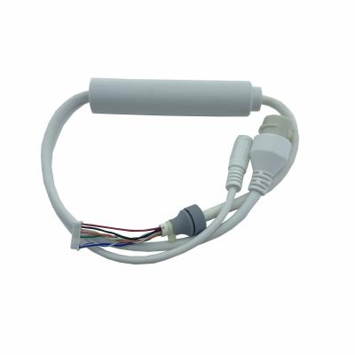 China Ip Camera Electric Ethernet Cable Assembly RJ45 8P8C DC5.5*2.1 Plug 1.25-10PIN 024 for sale