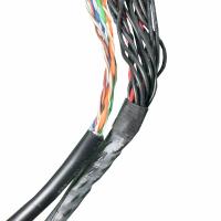 China 2R12P*2 P2.0 460mm Custom Wiring Harness Display Chassis Lines HY2.0-2x12PIN 050 for sale