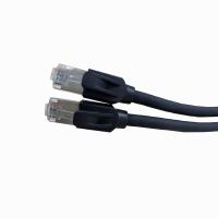 China 1000mm Signal Transmation Network Communication Cable Crystal Head 8P/8C G/F*2 085 for sale