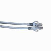 China Gray Cat5e Network Communication Cable 8P/8C G/F*2 Crystal Head 1000mm 087 for sale