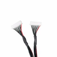 China 1R6P*2 P1.25 160mm 10 PIN Wire Harness UAV Camera Wire LED Screen Cable 065 for sale