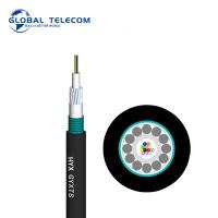 China GYXTS Outdoor Fiber Optic Cable Armored Uni tube Anti Rodent 2-24 Core for sale