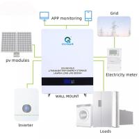 China 48V 10KWh LiFePO4 Battery Powerwall with Smart BMS for Solar Energy Storage for sale