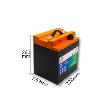 China 48V 25Ah LiFePO4 Electric Motorcycle Battery Custom Pack Long Cycle Life for sale