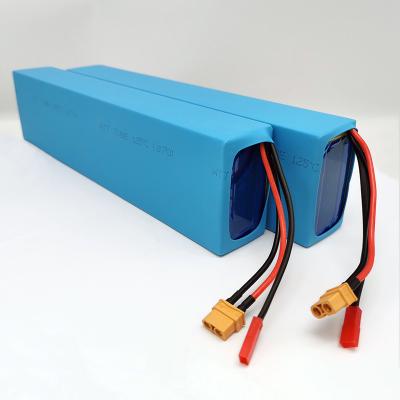 China Efficient and Long-Lasting 36V Electric Scooter Lithium Ion Battery for sale