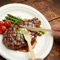 China 170mm Catering Biodegradable Disposable Bamboo Tableware Cutlery Smooth Bulk for sale