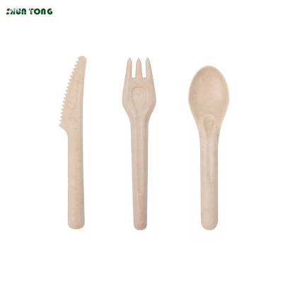 China Biodegradable Disposable Sugarcane Bagasse Cutlery Set Pulp Flatware 100% Natural for sale