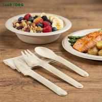 China Biodegradable Disposable Sugarcane Bagasse Cutlery Set Pulp Flatware 100% Natural for sale