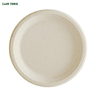China Commercial Disposable Bagasse Sugarcane Pulp Plates Tableware 9 Inch PFAS Free for sale
