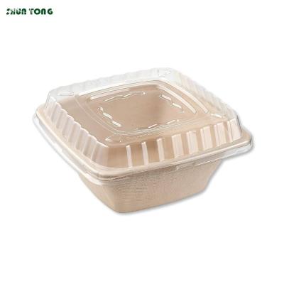 China Square Salad Compostable Takeaway Bagasse Clamshell Containers Bowl With Lid 32oz for sale