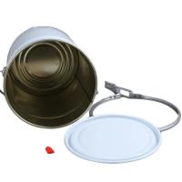 China 5 Gallon Paint Bucket White Metal With Lever Lock Ring Lid for sale